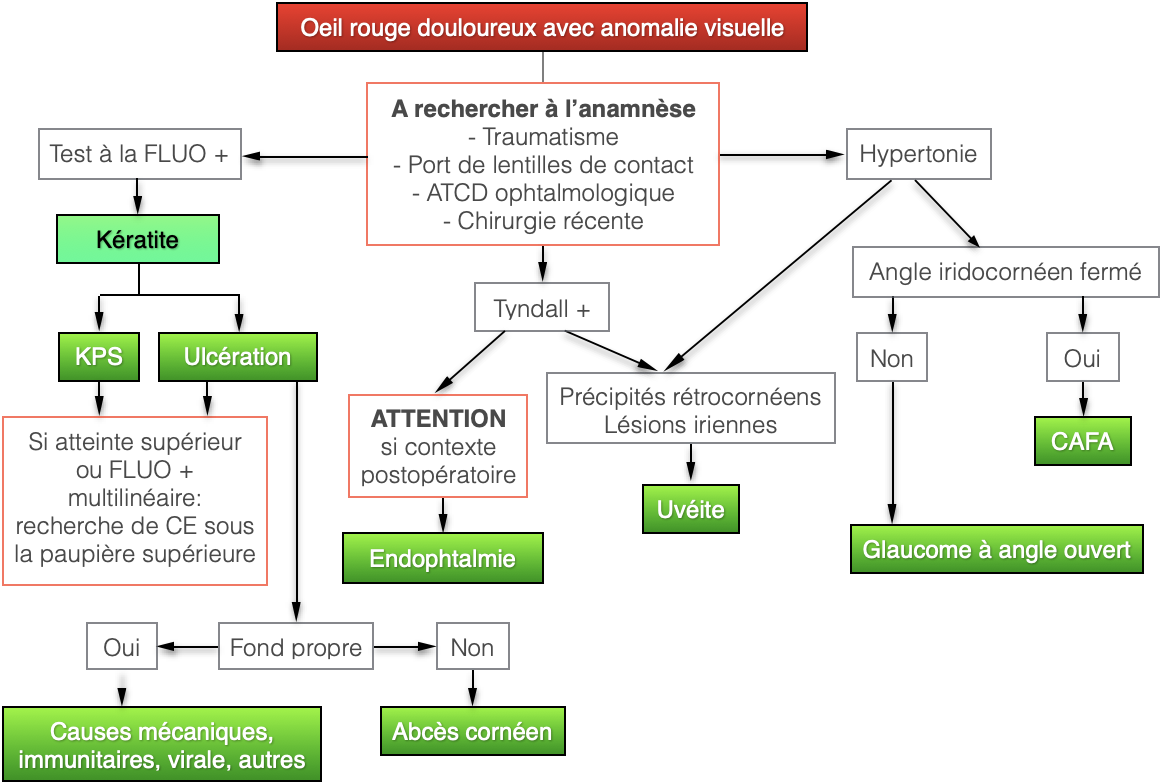 Les urgences oculaires – AOR